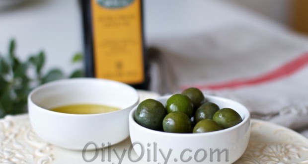 Olive Oil: How to Choose - Oilypedia.com Olive Oil: How to Choose - Oilypedia.com